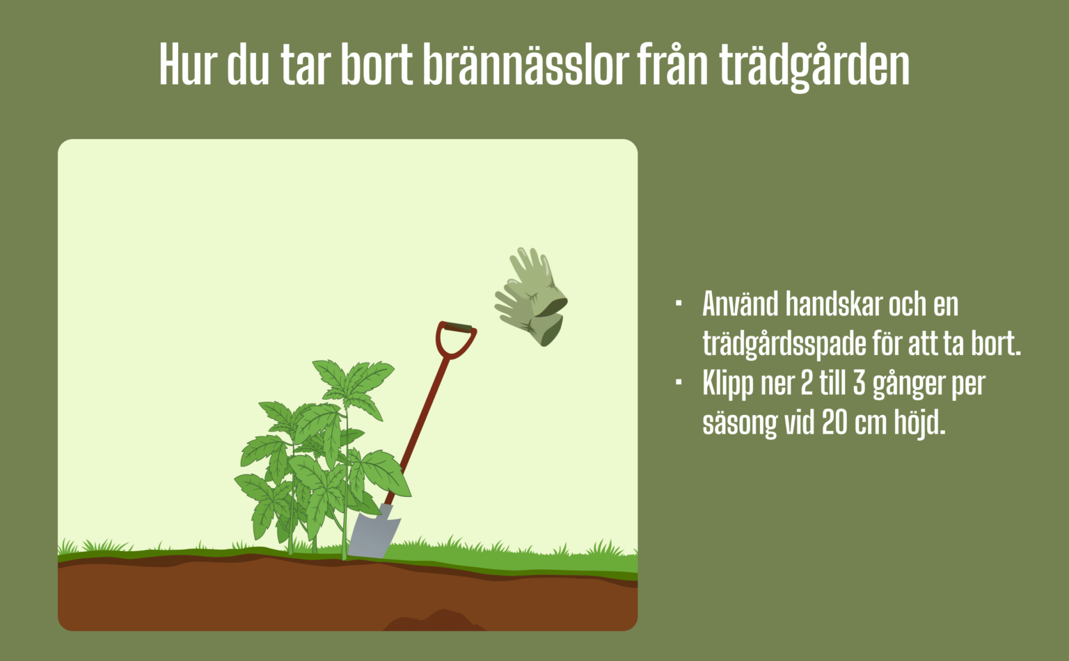 Rensa ogräs: Olika metoder för att ta bort ogräs